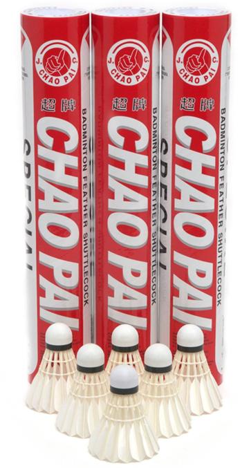 Chao Pai – Oregon Badminton Academy Pro Shop